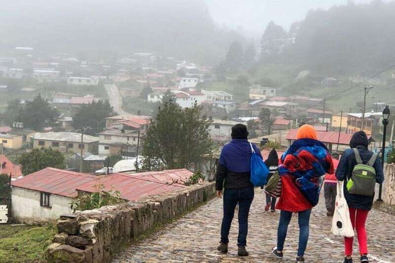 Oaxaca: Forest and Nature Walking Experience - FAQ