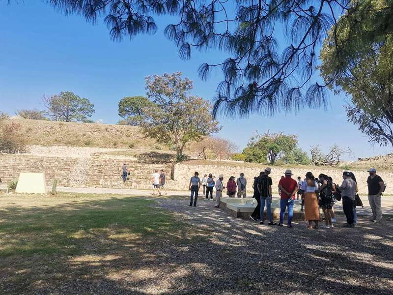 Oaxaca: Full Day Guided Tour on the Monte Alban Route - Who Will Love This Tour?
