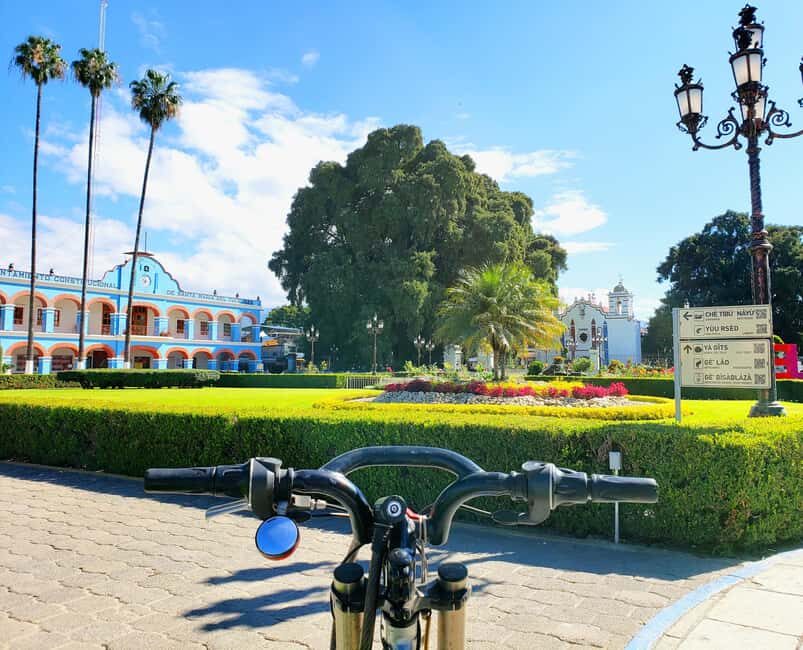 Oaxaca: Guided Bike Tour to the Largest Tree in the World - Final Thoughts: Is This Tour Worth It?