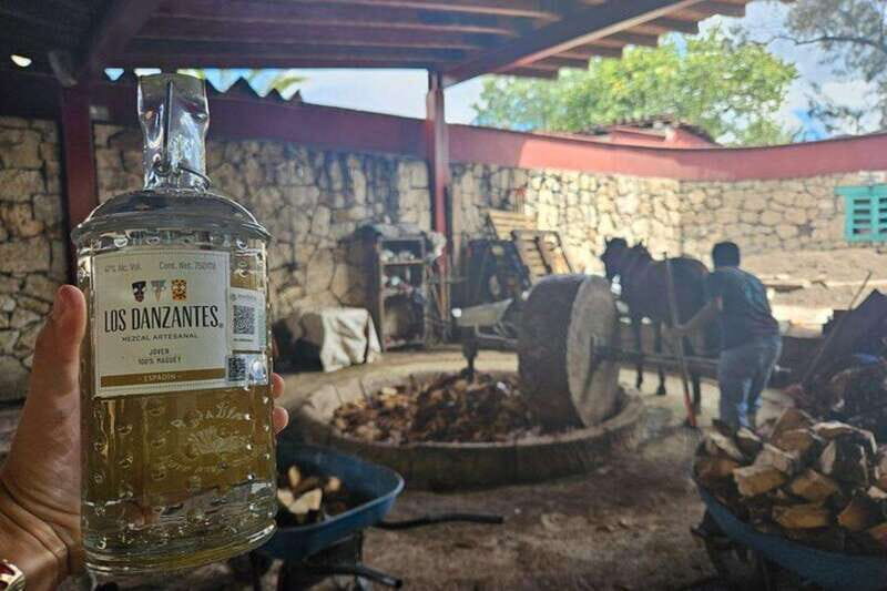 Oaxaca: Hierve el Agua, Mezcal Distillery, and Lunch Tour - Exploring Oaxacan Textiles