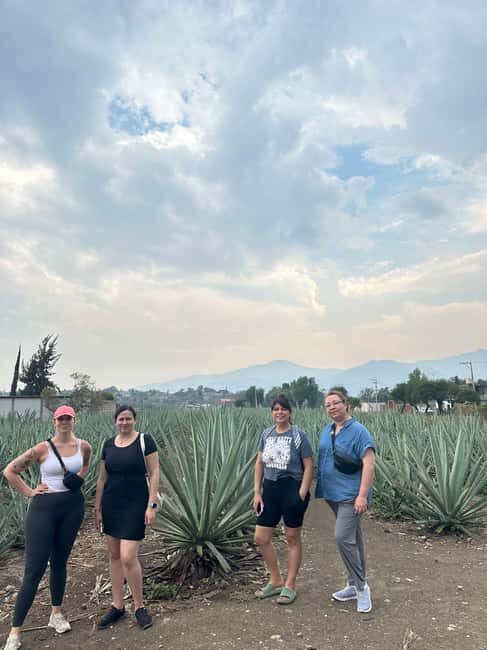 Oaxaca: Hierve el Agua & Mezcal Distillery Small-Group Tour - Key Points