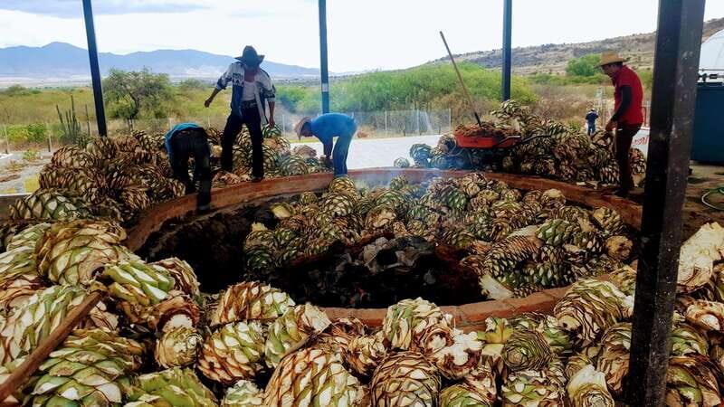 Oaxaca: Mezcal Adventure - What to Expect on the Oaxaca: Mezcal Adventure Tour