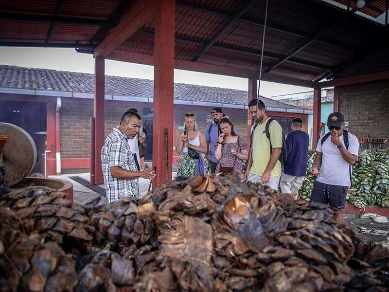 Oaxaca: Mezcal Distillery Tour with Tastings - Key Points