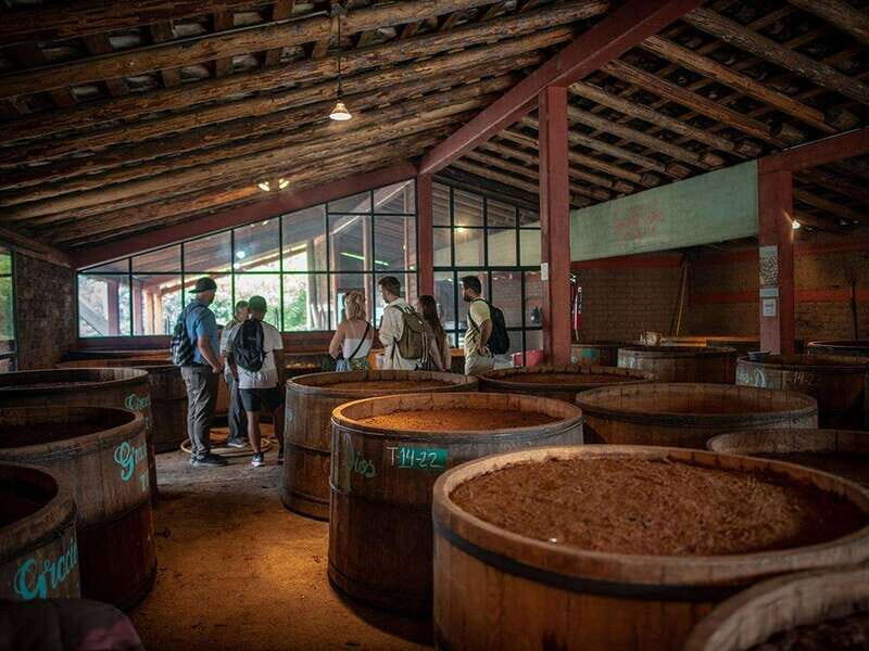 Oaxaca: Mezcal Distillery Tour with Tastings - FAQs