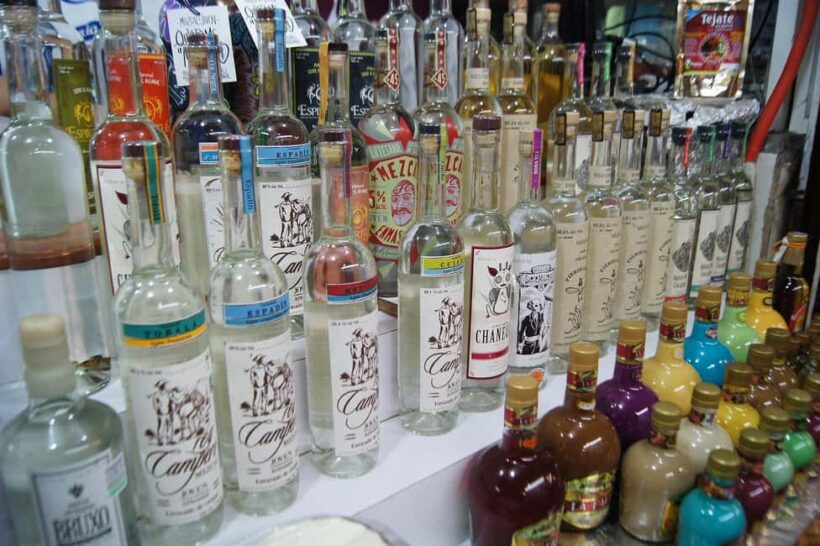 Oaxaca: Mezcal Tasting & Barrel Ride - The Itinerary: What to Expect from Start to Finish