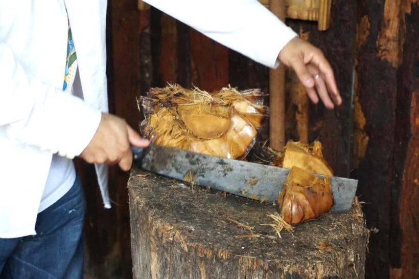 Oaxaca: Mezcal Tasting & Barrel Ride - Why This Tour Offers Great Value