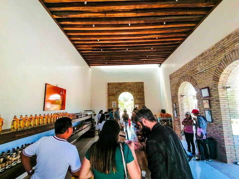 Oaxaca- Mezcal Voices - An In-Depth Look at the Oaxaca - Mezcal Voices Tour