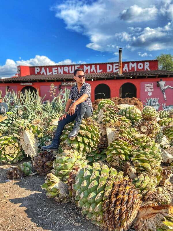 Oaxaca: Monte Albán, Hierve el agua, Mezcal and Teotitlán - A Day in Oaxaca: What to Expect from the Tour
