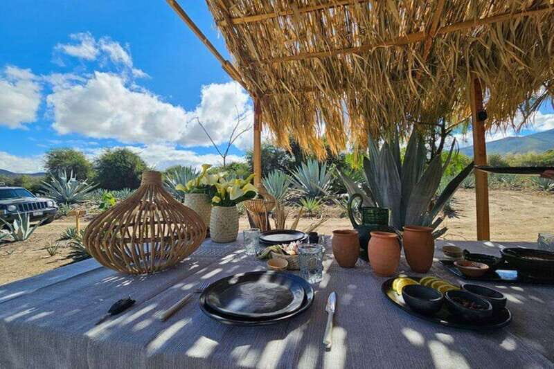 Oaxaca: Private Lunch in Maguey Fields with Mezcal Tasting - A Deep Dive into the Oaxaca Experience