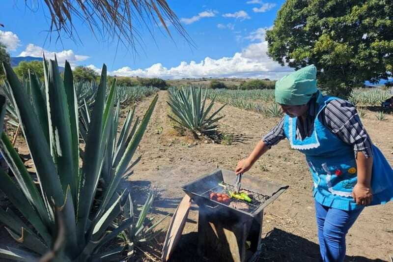 Oaxaca: Private Lunch in Maguey Fields with Mezcal Tasting - FAQ