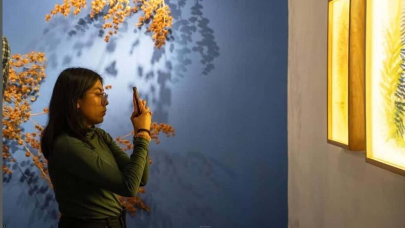 Oaxaca Renowned Art Galleries and Traditions in Private Tour - Final Thoughts: Is It Worth It?