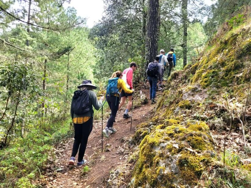 Oaxaca: Sierra Norte Ixtepeji Guided Hike & Lunch, Half-Day - Key Points