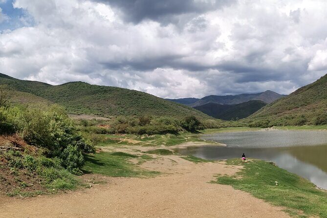 Oaxaca to Tule Tree Bike Tour - 6 hours - What’s Included and What to Expect