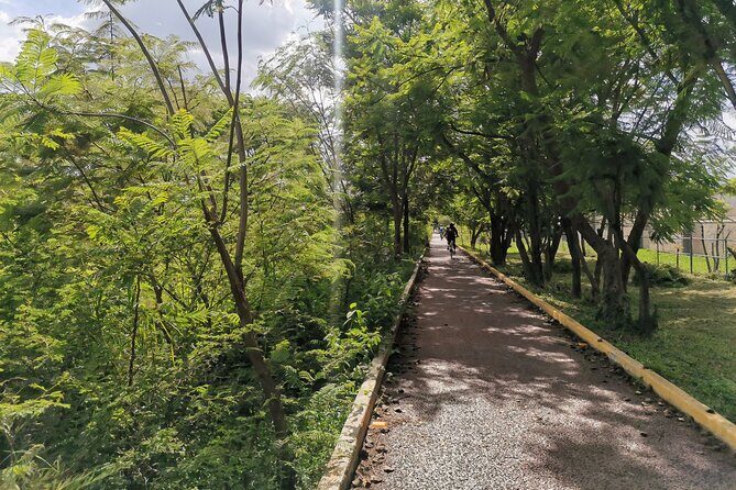 Oaxaca to Tule Tree Bike Tour - 6 hours - The Practical Details