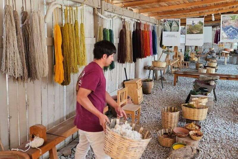 Oaxaca: Traditional Market Private Tour - Who Is This Tour Best For?