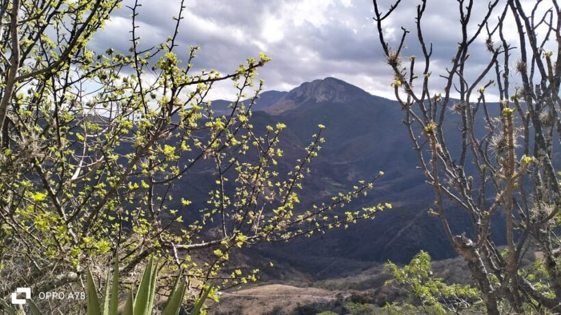 Oaxaca: Xaaga-Hierve el Agua 1 Day Hiking Tour - The Practical Side: Value and Logistics
