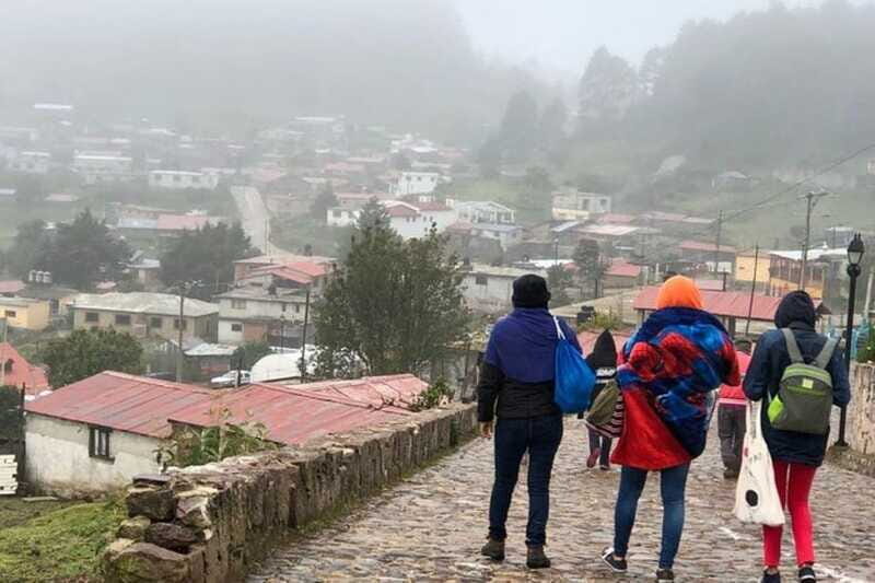 Oaxaca: Zipline, Nature Walk and Gastronomy Tour - The Drawbacks and Considerations