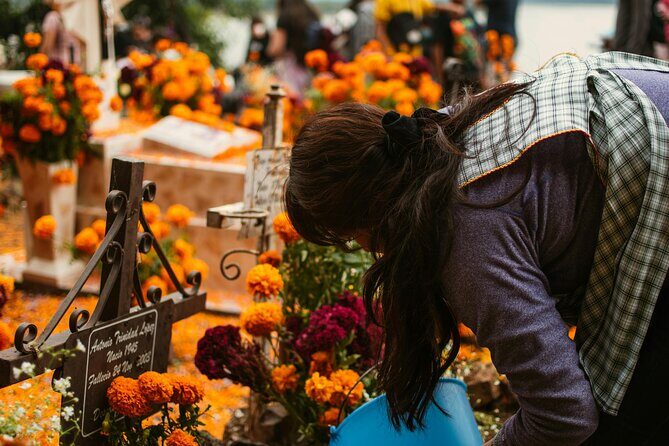 Oaxacas Sacred Night & Festive Day: A Día de los Muertos Journey - Authenticity and Cultural Depth