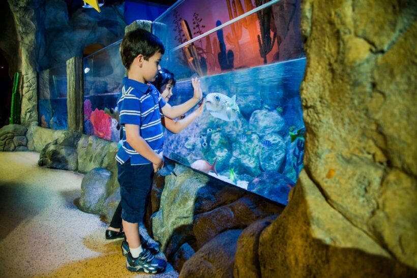 Oberhausen: LEGOLAND Discovery Centre and SEA LIFE Ticket - An In-Depth Look at the Oberhausen Combo Experience