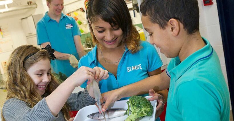 Oberhausen: SEA LIFE Ticket and Behind the Scenes Tour - An In-Depth Look at Oberhausen’s SEA LIFE Experience