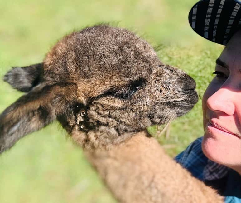 Oberon: Kenzell Farm Tour  A Hands-On Animal Adventure! - Key Points