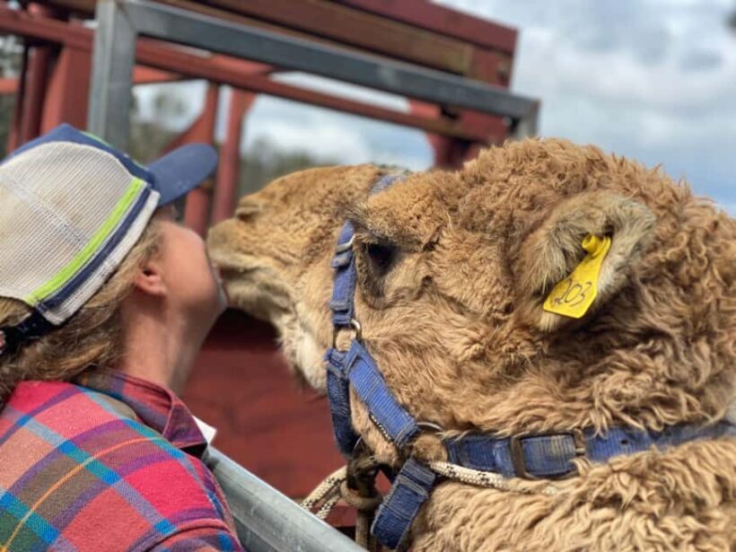 Oberon: Kenzell Farm Tour  A Hands-On Animal Adventure! - A Genuine Look at Kenzell Farm Tour