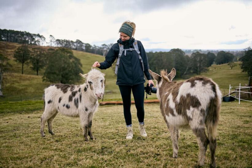 Oberon: Kenzell Farm Tour  A Hands-On Animal Adventure! - Final Thoughts