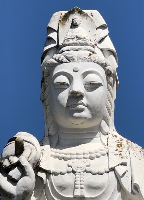 Obidos Castle and Budhha Eden Private Tour - Review Highlights from Past Travelers