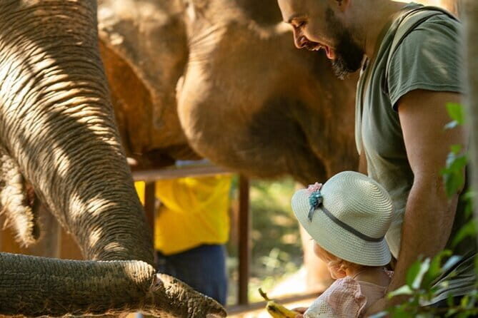 Observing Elephant Nature (NO RIDING NO BATHING) - FAQs