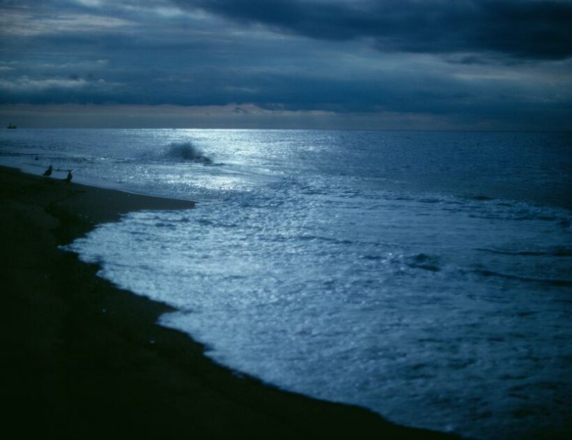 OBX Ghost Tours: Lighthouse Wraiths & Dune Shadows - Who Will Love This Tour?