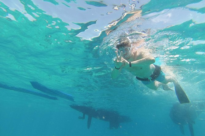 OBY Catamaran - Delicious Lunch: Traditional Paella