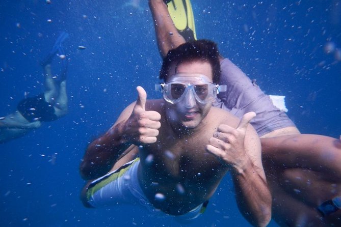 OBYCAT Experience - Location and Reviews