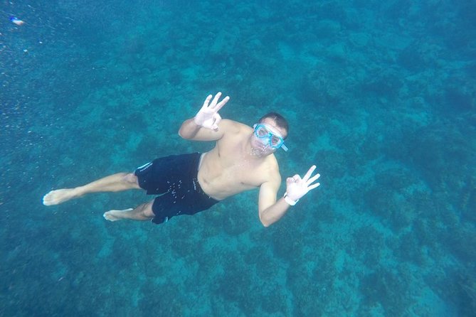 OBYCAT Experience - Accessibility and Participation