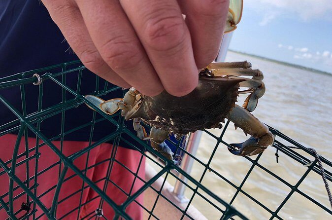 OC Bay Hopper Crabbing - Final Words
