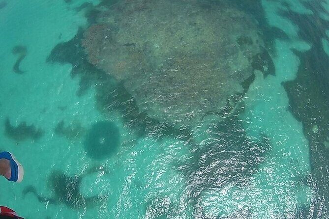 Occidental Caribe - Round Trip Shuttle - Punta Cana Airport - Who Will Benefit Most from This Shuttle?