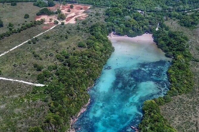 Occidental Grand Punta Cana - Round Trip Shuttle - Punta Cana Airport - Who Will Benefit Most from This Transfer?