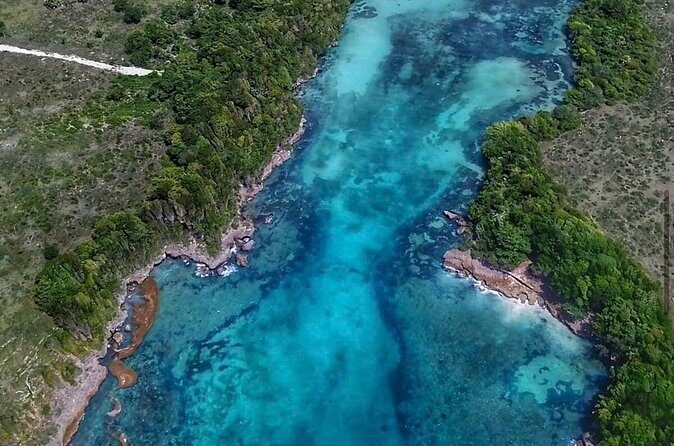 Occidental Grand Punta Cana - Round Trip Shuttle - Punta Cana Airport - Final Thoughts: Is It Worth It?