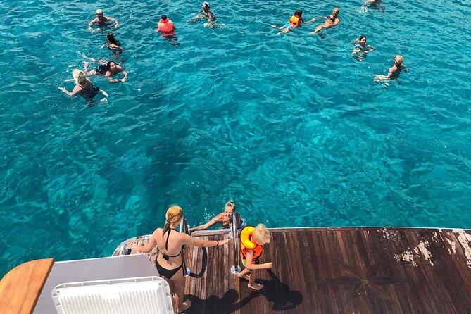 Ocean Blue | Blue Lagoon Morning - Customer Reviews and Ratings