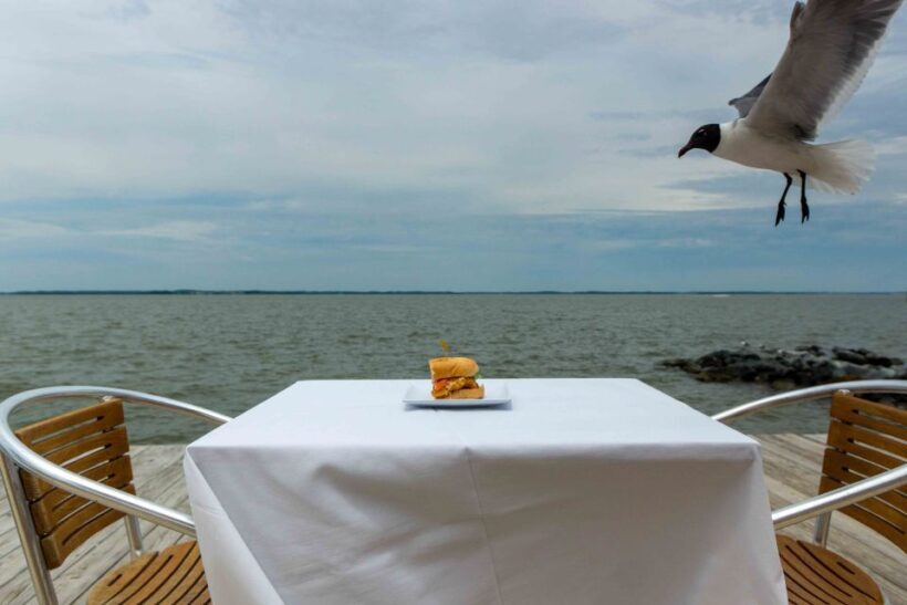 Ocean City: Bay Hopping Food Boat Tour with Tastings - Key Points
