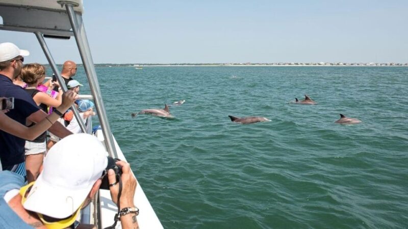 Ocean City, MD: Coastal Speedboat Tour with Dolphin Spotting - Pricing and Value