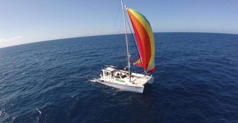 Ocean City: Sailing Catamaran Cruise with Crew - Key Points