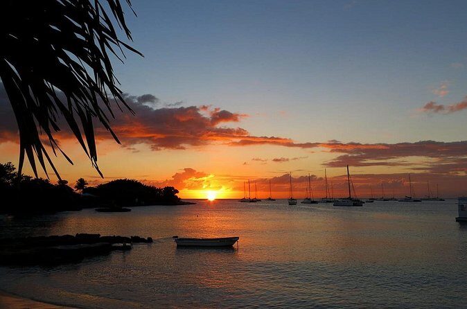 Ocean El Faro Resort - Round Trip Shuttle - Punta Cana Airport - Real Traveler Feedback: What They Love and What Could Improve