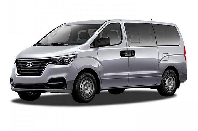 Ocean El Faro Resort - Round Trip Shuttle - Punta Cana Airport - Who Should Consider This Transfer?