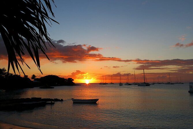 Ocean El Faro Resort - Round Trip Shuttle - Punta Cana Airport - The Sum Up