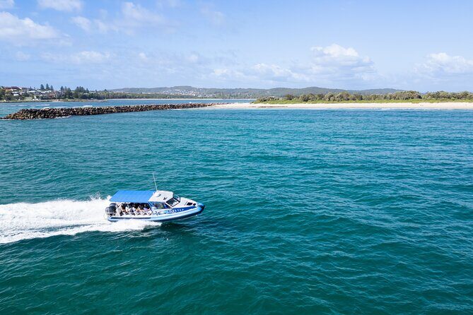 Ocean Explorer Tour from Lake Macquarie - Key Points