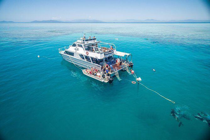 Ocean Freedom Great Barrier Reef Luxury Snorkel and Dive Cruise - The details that matter: what to expect from this tour
