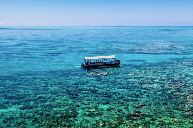 Ocean Freedom Great Barrier Reef Luxury Snorkel and Dive Cruise - What travelers are saying: real reviews and insights
