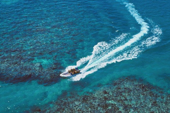 Ocean Freedom Great Barrier Reef Luxury Snorkel and Dive Cruise - FAQs about the Ocean Freedom Great Barrier Reef tour