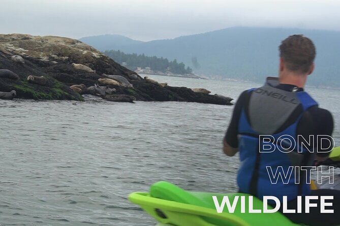Ocean is Yours Seadoo Experience from Vancouver - Practical Tips for Planning Your Trip