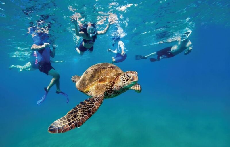 Ocean Reef Snorkeling and Paddleboarding - Why the Guides Make a Difference